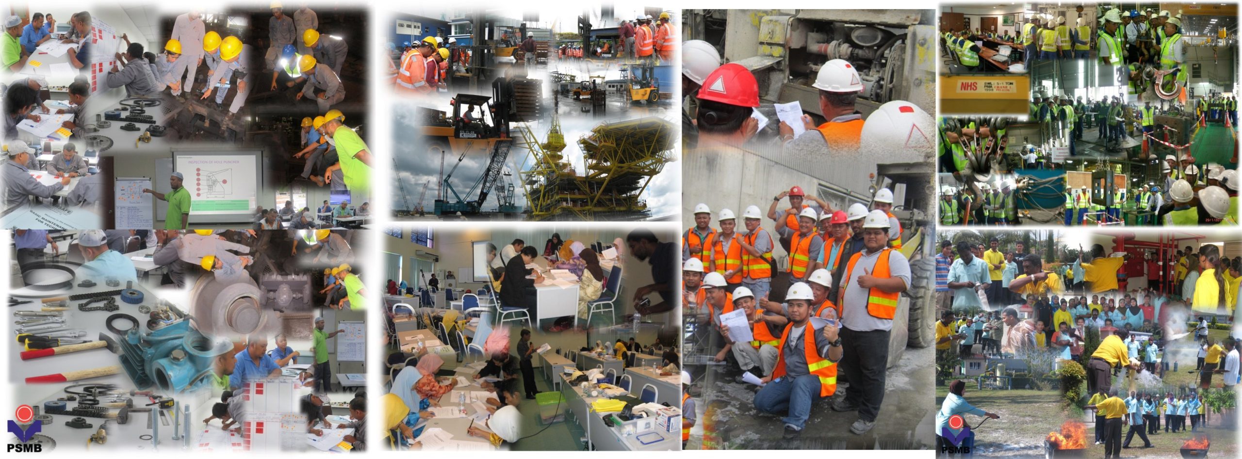 collage scaled | Eversafe Universal